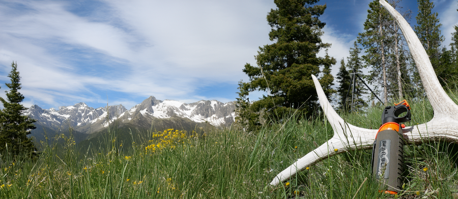 Bear Blitz – Epoch Outdoors